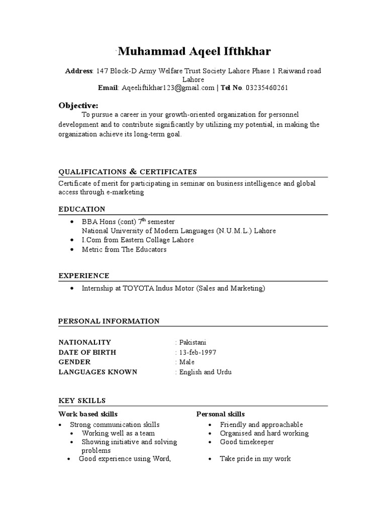 Aqeel CV 1 | PDF