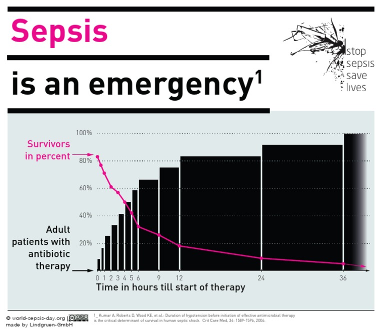 04 Sepsis Emergency | PDF
