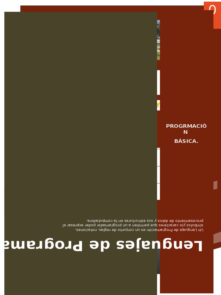 Informe #1 Lenguaje de Programación | Descargar gratis PDF | Programa de computadora | Programación