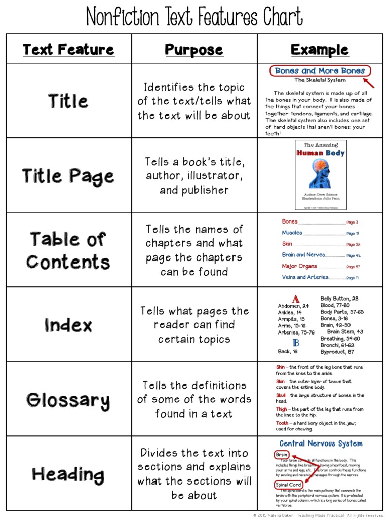 Text Features Chart PDF | PDF