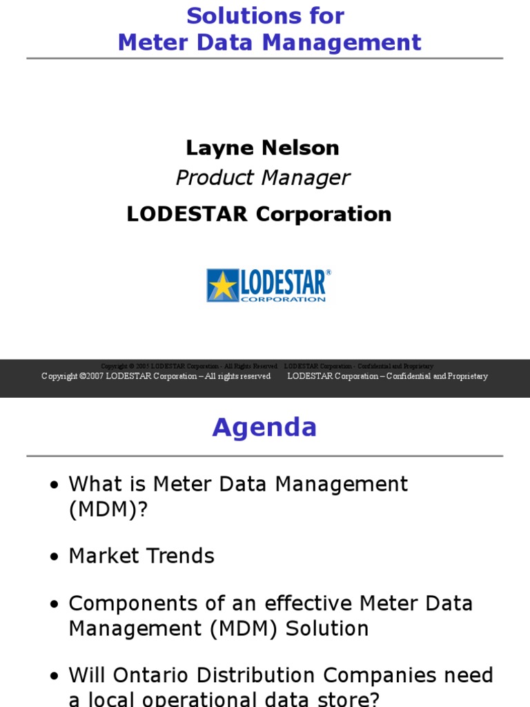 3 Layne Nelson Presentation | PDF | Data Analysis | Information Technology