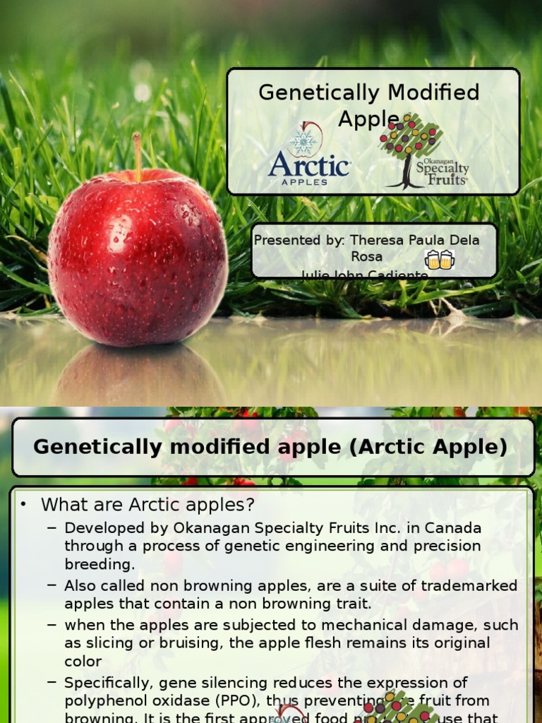 Genetically Modified Apple: Presented By: Theresa Paula Dela Rosa Julie ...