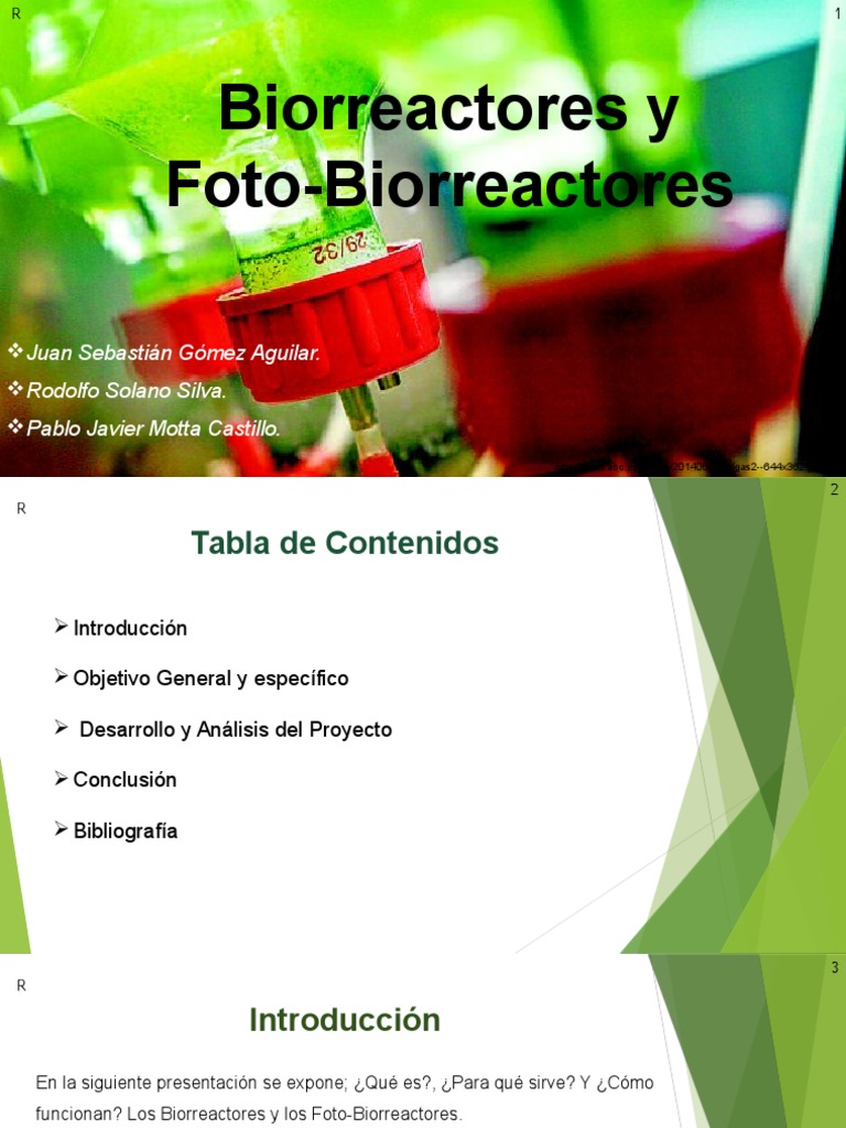 Biorreactores: Guía para Estudiantes | PDF | Naturaleza | Energía y ...