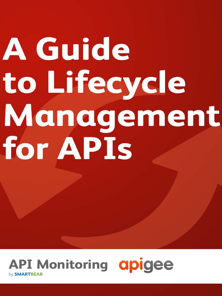 Essential Guide to API Monitoring | PDF