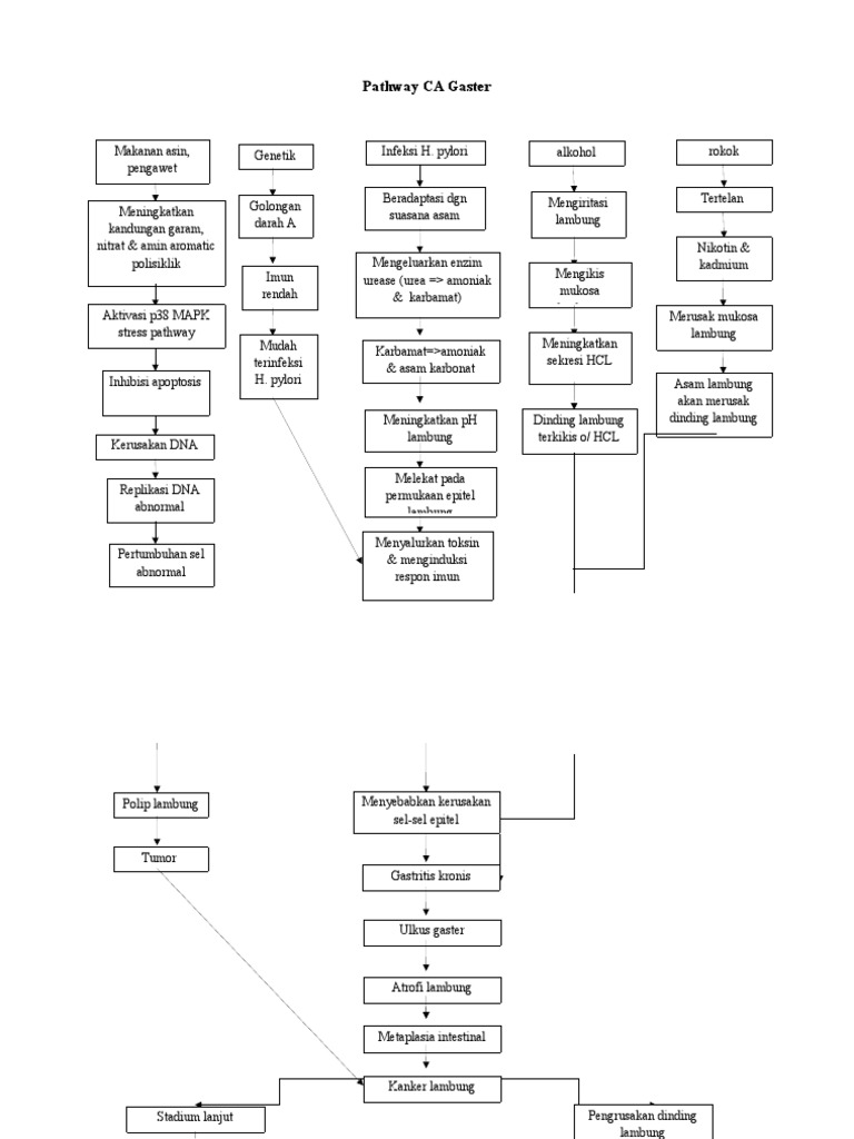 Pathway-Kanker-Gaster | PDF