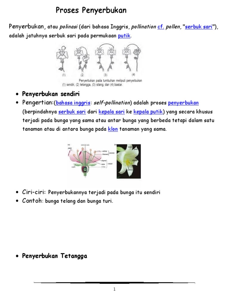 Beginilah Contoh Gambar Penyerbukan Pada Bunga Terpopuler - Informasi ...