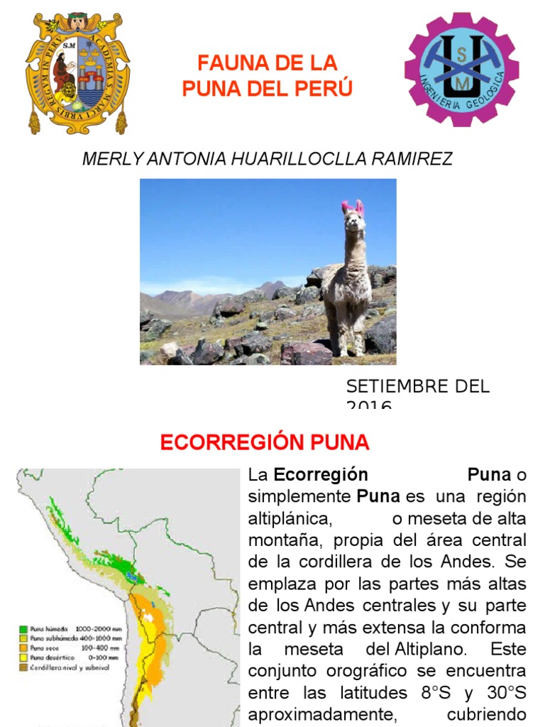 Fauna de La Puna Del Peru | Naturaleza | Sicología y ciencia cognitiva