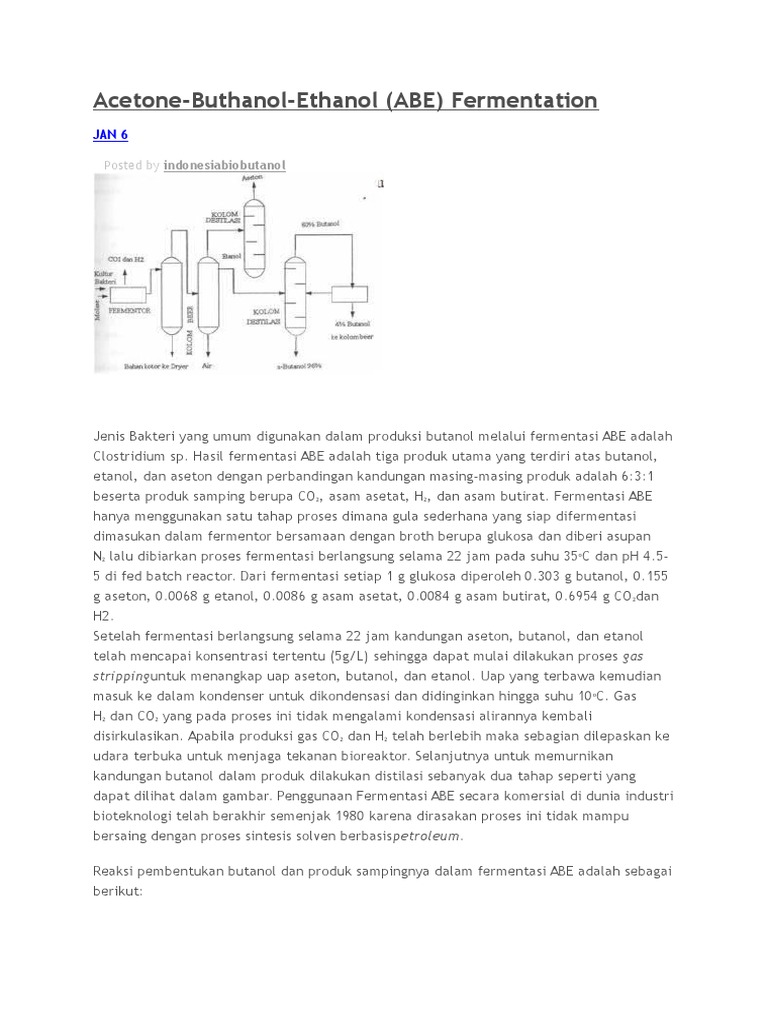 Fermentasi ABE: Produksi Butanol Efisien | PDF | Teknologi & Rekayasa