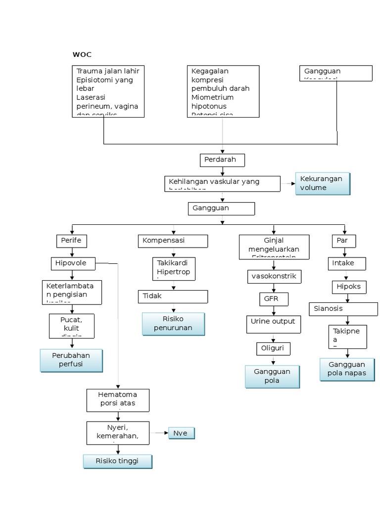 Woc Perdarahan Postpartum | PDF