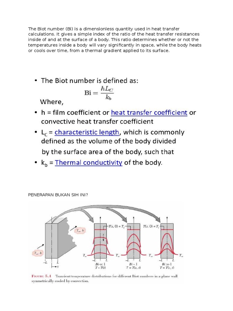Biot Number Facts | PDF | Teaching Methods & Materials
