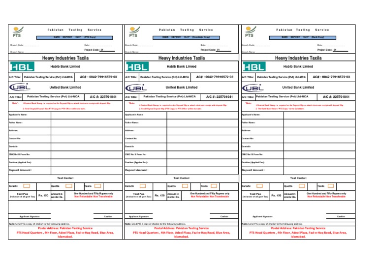 Chalan Format | PDF | Payments | Government