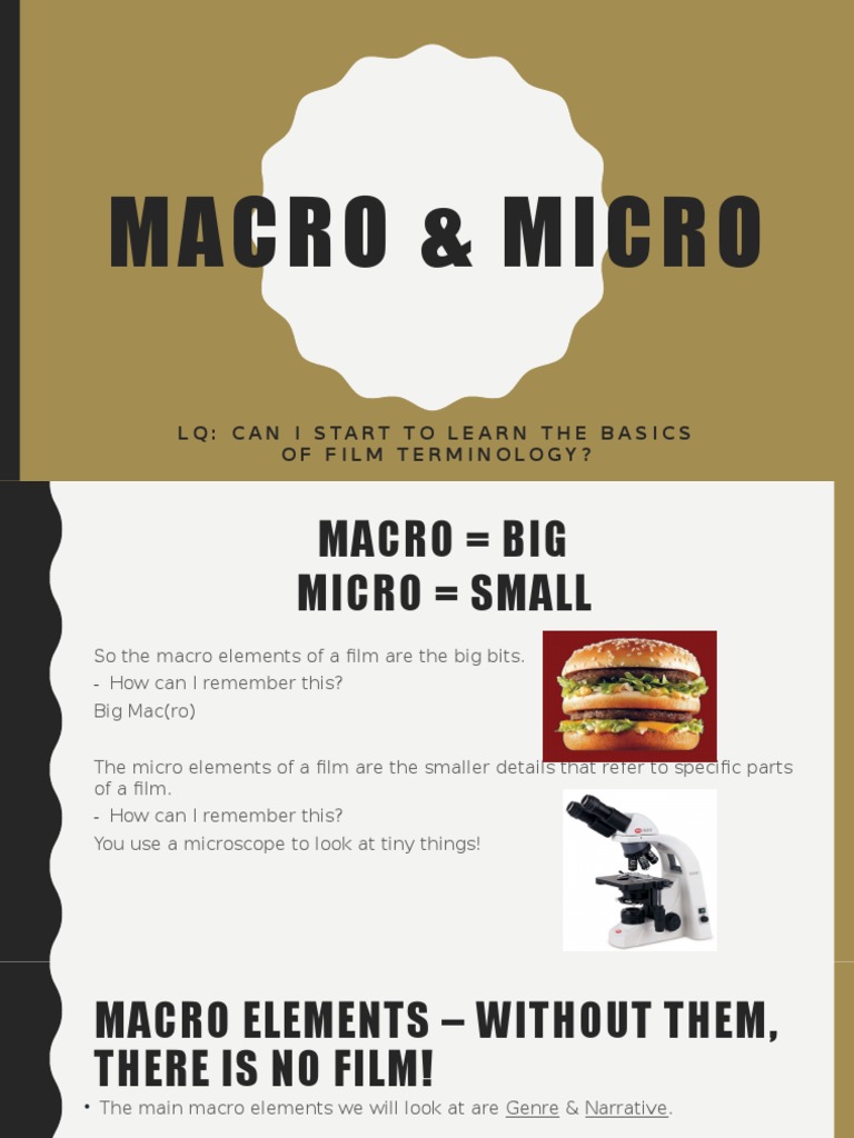 Macro & Micro Lesson One | PDF