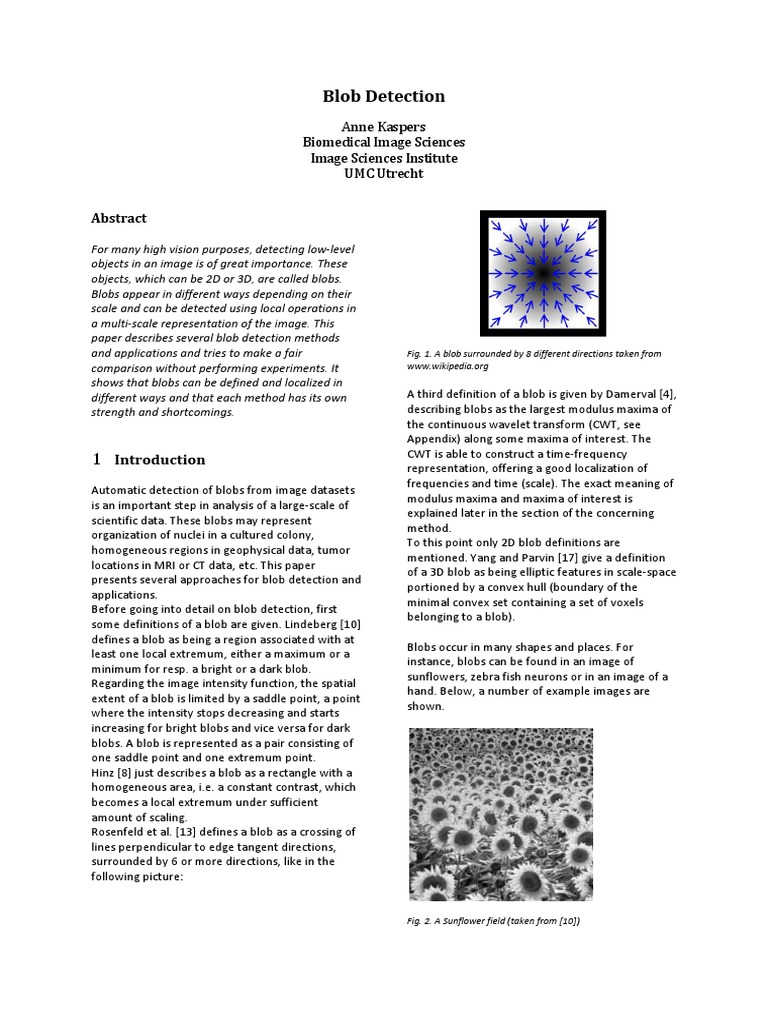 Blob Detection Methods and Applications | PDF | Algorithms | Signal ...