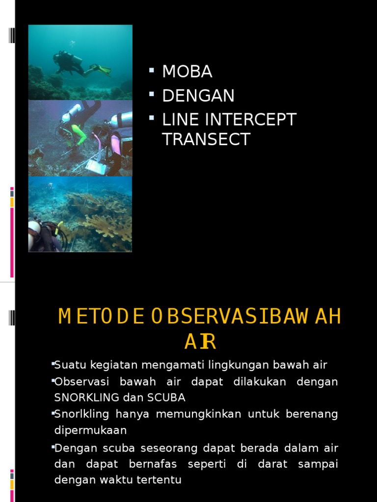 Line Intercept Transect | PDF