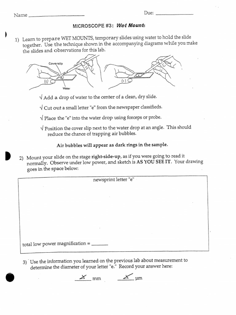 Microscopy Wet Mount Lab PDF | PDF