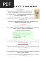 Elaboración de Sahumerios | PDF | Incienso | Perfume