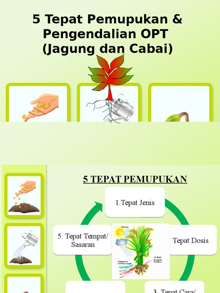 Pemupukan Dan Pengendalian OPT | PDF