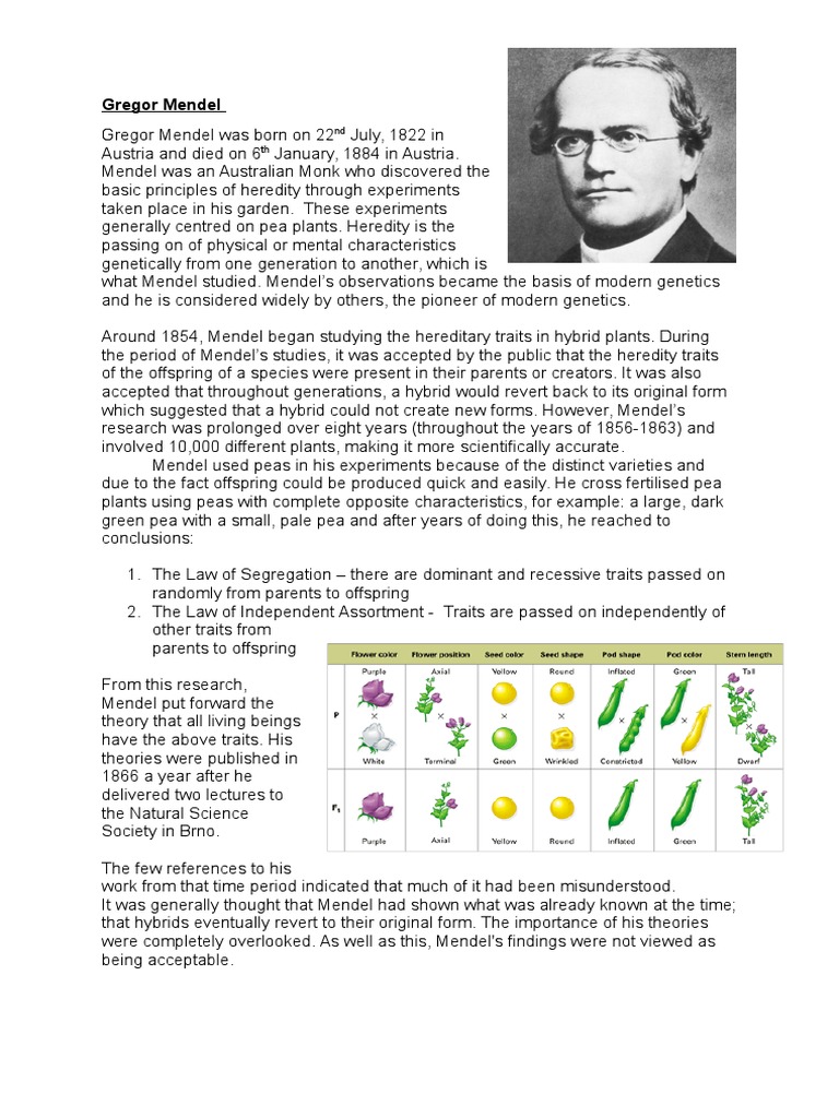 Gregor Mendel: Father of Genetics | PDF