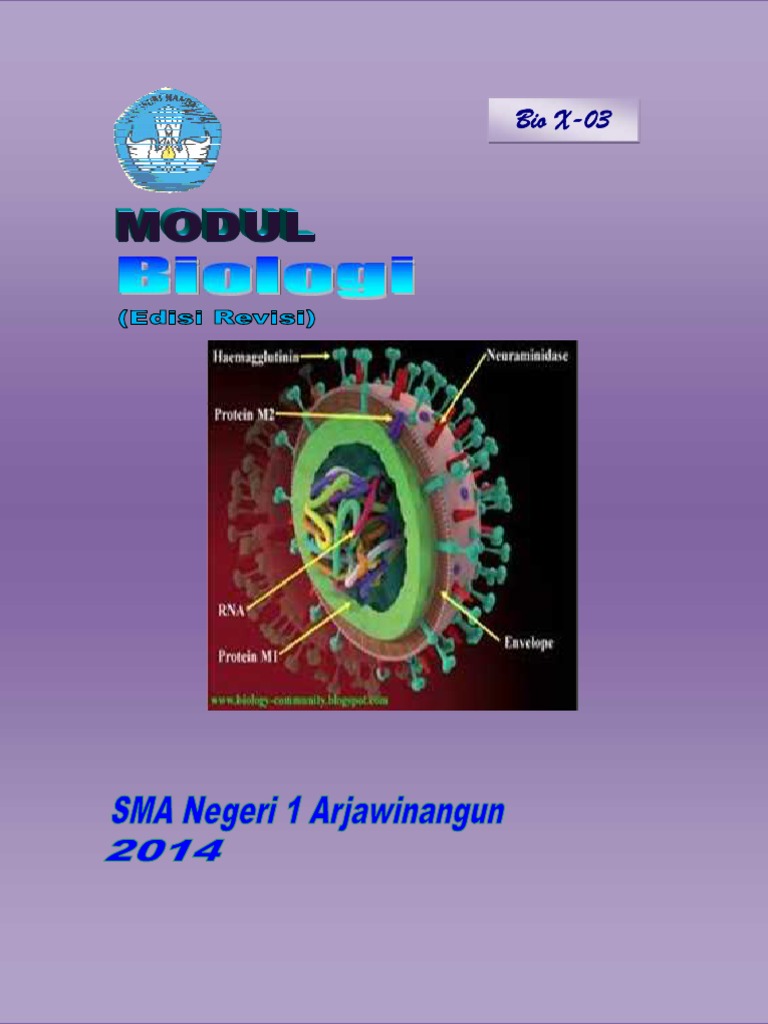 Modul Virus Revisi | PDF