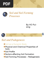 Catena | PDF | Earth Sciences | Physical Geography