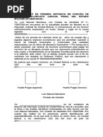 Formato Modelo Ejemplo Solicitud de Nombramiento de Defensor Público CAUSA PENAL | PDF