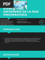 Proceso de Atención de Enfermería (PAE) Libro | PDF | Examen físico ...