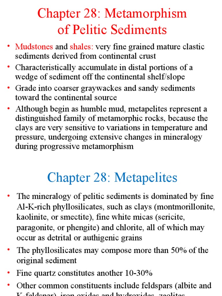 CH 28 Pelites | PDF | Earth Sciences | Rocks
