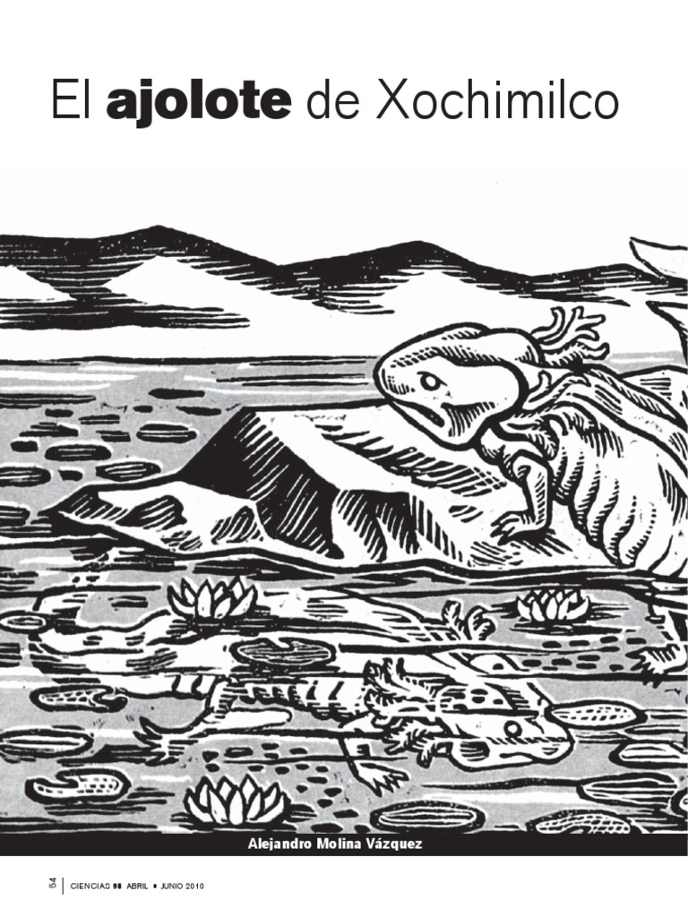 El Ajolote de Xochimilco-Unam | PDF | Biología | Science