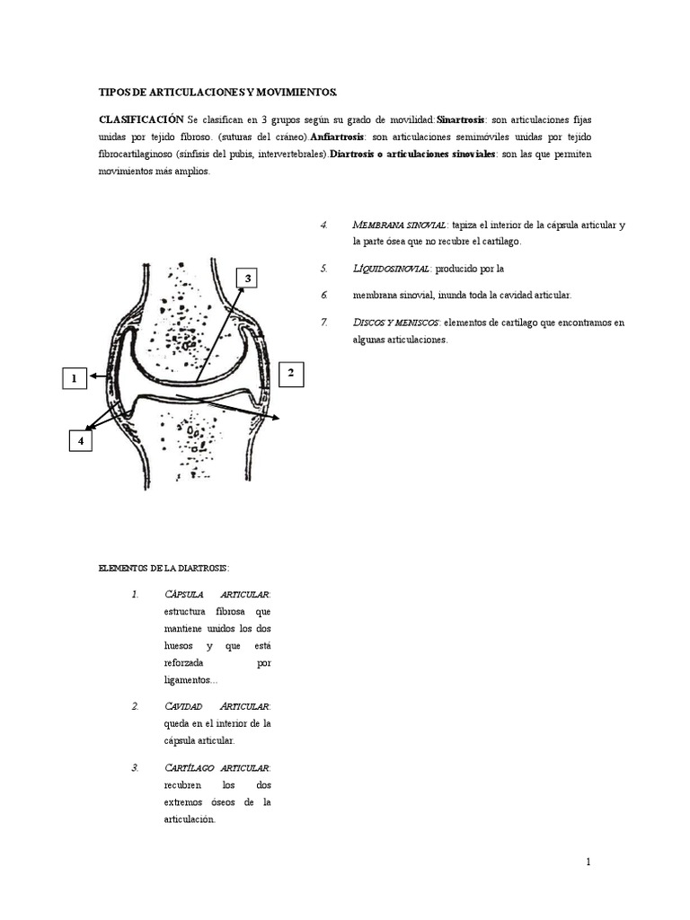 Anatomia Osteoarticular