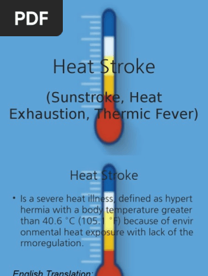 Heat Stroke Fact Sheet Pdf
