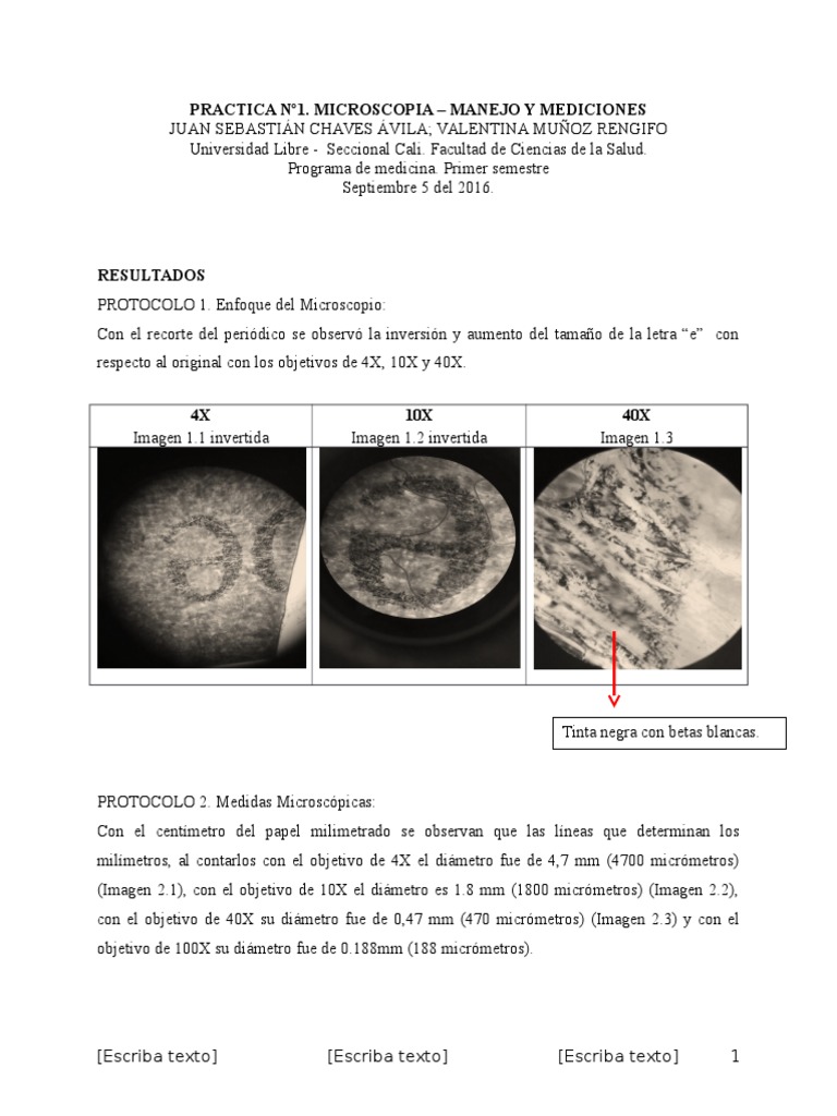 Informe Micros | PDF | Lente de la cámara | Color