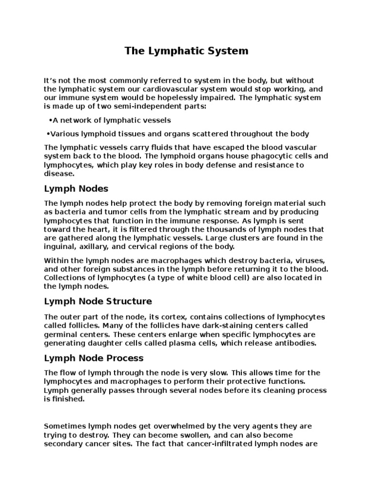 The Lymphatic System | PDF | Lymphatic System | Lymph Node