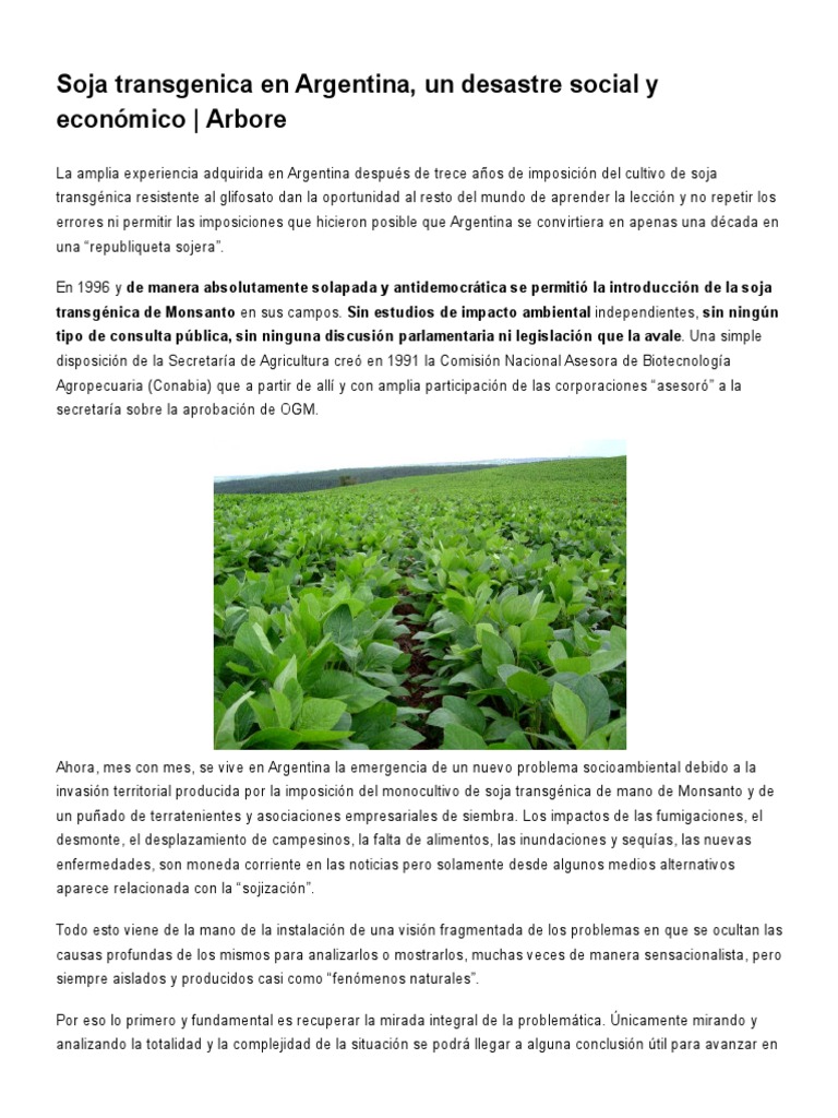 Soja Transgénica: Impacto en Argentina | PDF | Comida y bebida ...