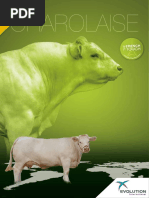 Official List of Breed Codes For Bovine: Beef Breeds | PDF | Livestock ...