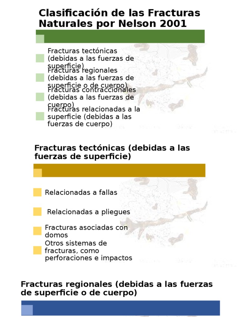 Clasificacion Nelson 2001 | PDF
