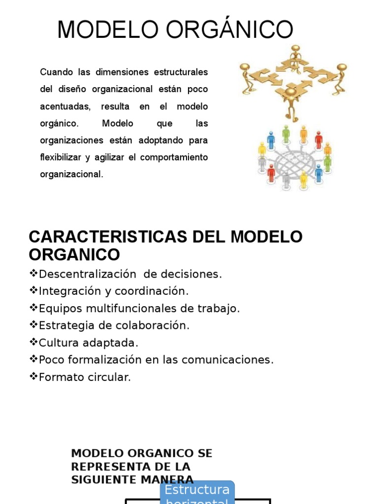 El modelo orgánico: Una estructura flexible y colaborativa para ...