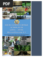 The Local Development Investment Program (LDIP) : - The Main ...