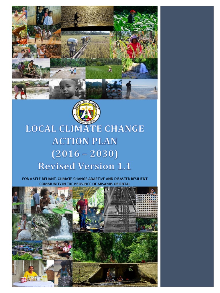 LCCAP Revised Edition | PDF | Flood | Landslide