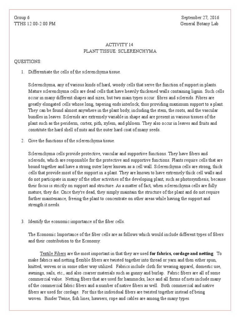 Botany | PDF | Tissue (Biology) | Plant Morphology