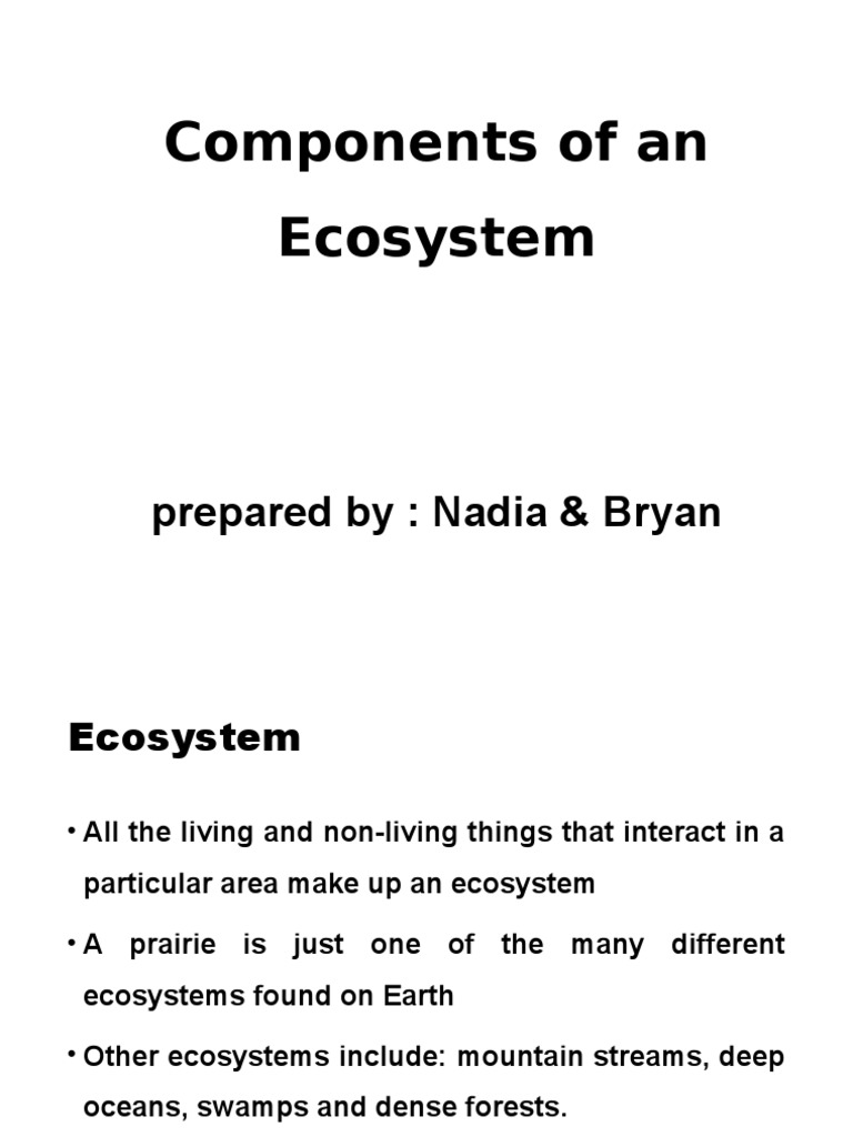 Components of An Ecosystem | PDF | Ecosystem | Herbivore