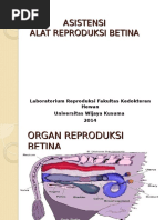 Anatomi Fungsional Organ Reproduksi Sapi Betina | PDF