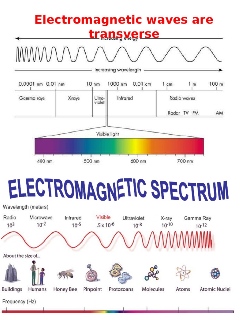 3. EM waves.ppt