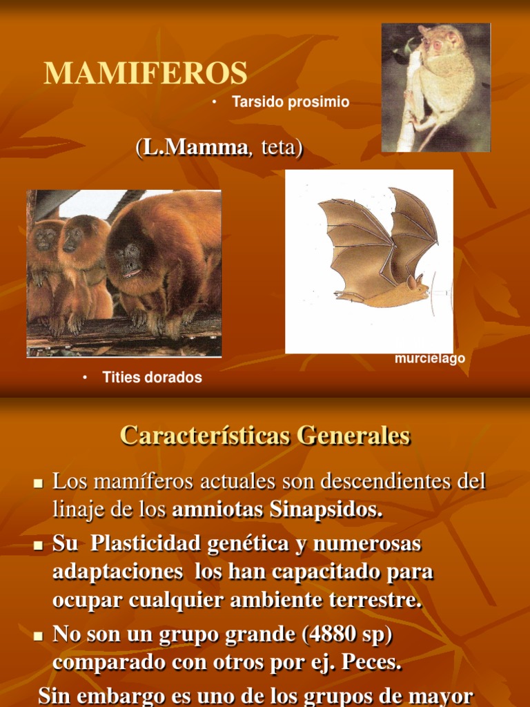 Mamiferos | PDF