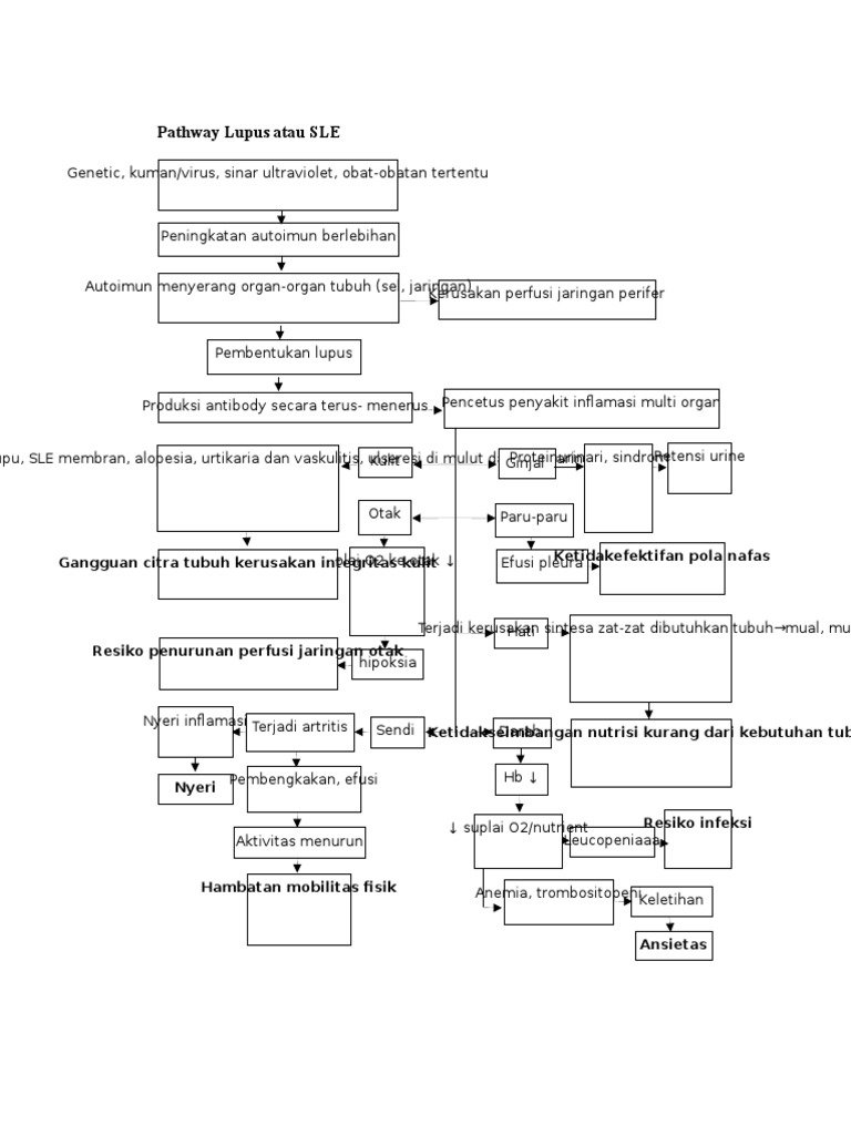 Pathway Lupus Atau SLE | PDF