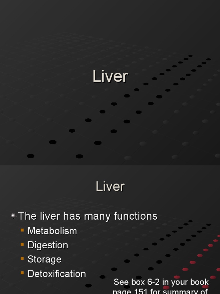Liver Anatomy | PDF | Liver | Abdomen