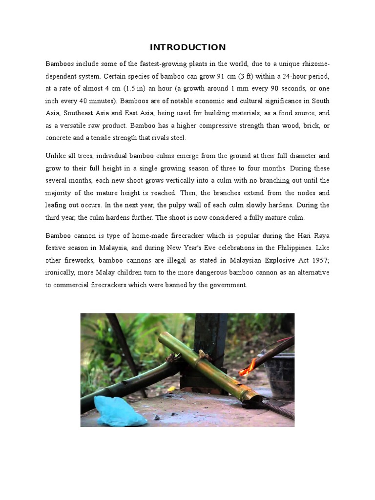 Mini Projek Meriam Buluh | PDF | Stress (Mechanics) | Materials Science