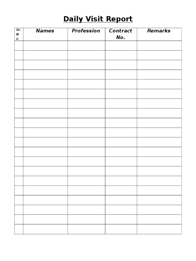Daily Visit Report | PDF