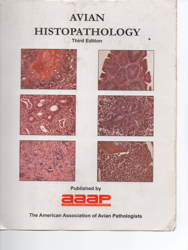 Avian Histopathology 3ed.