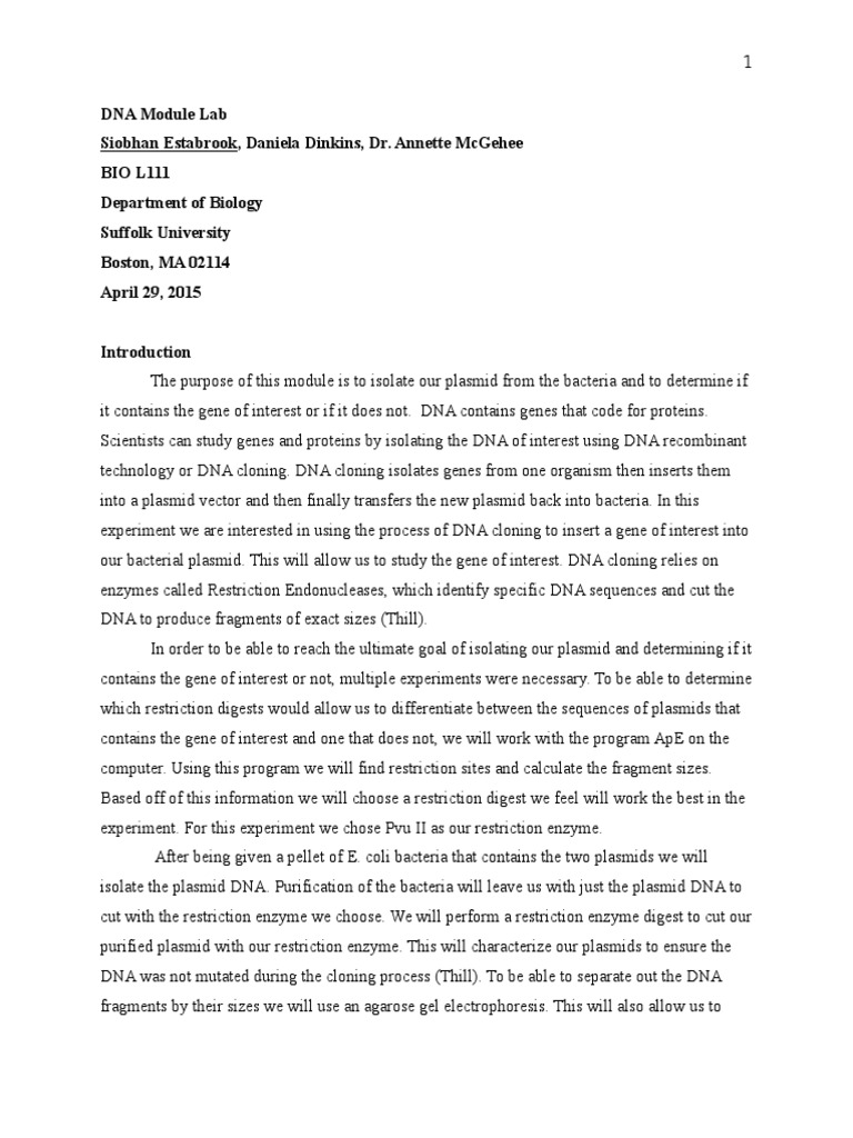 DNA Module Lab Report | PDF | Gel Electrophoresis | Plasmid