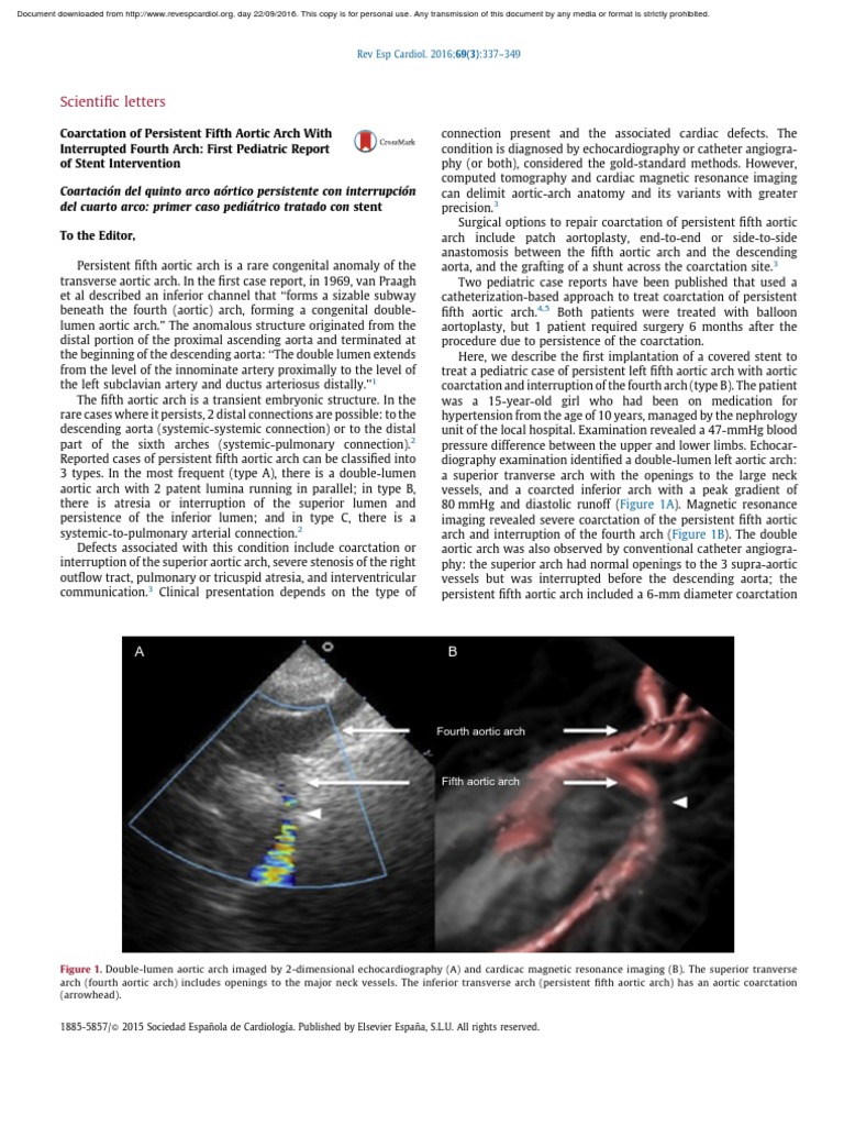 Scientific Letters: Rev Esp Cardiol. 2016 69 (3) :337-349 | PDF | Aorta ...